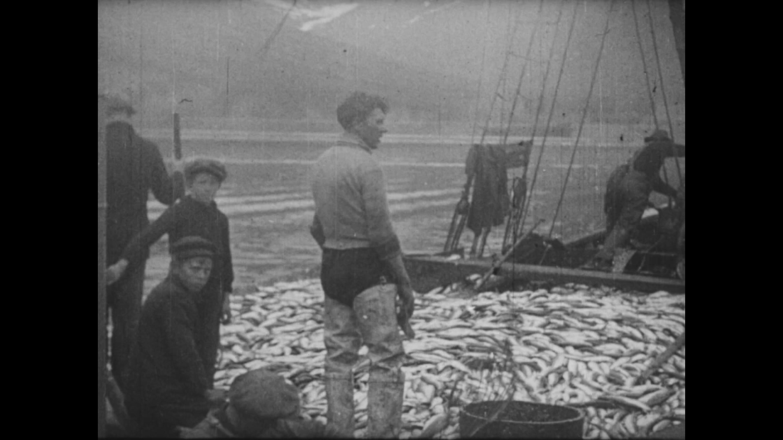 Uppskipun á síld | Island på Film